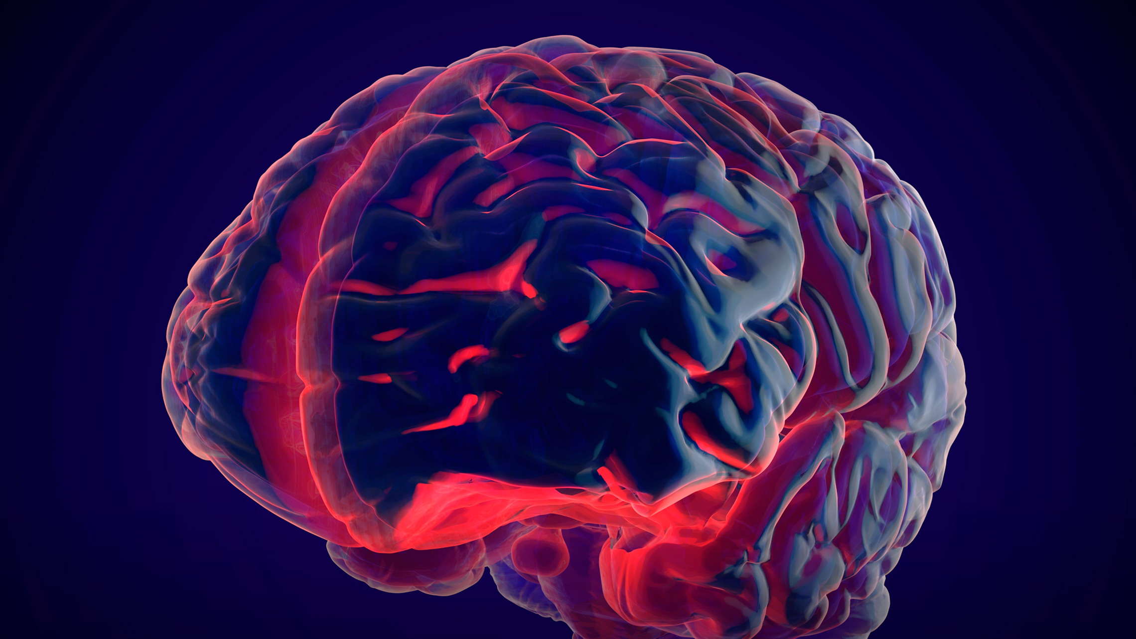 Priberam Machine Learning Lunch Seminar – Patrick Fernandes – Técnico ...