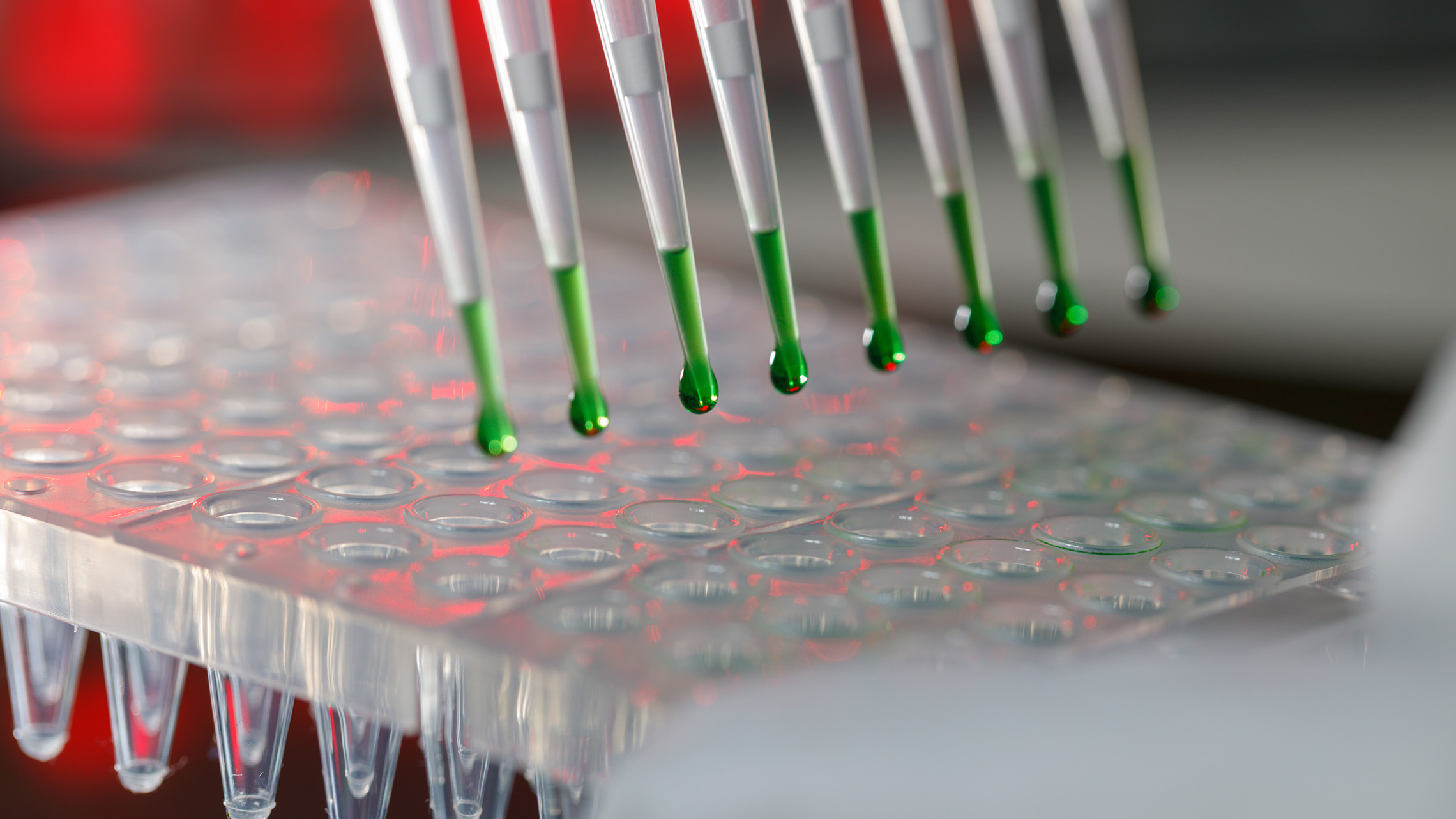 Simpósio ESBES 2018 – Técnico Lisboa