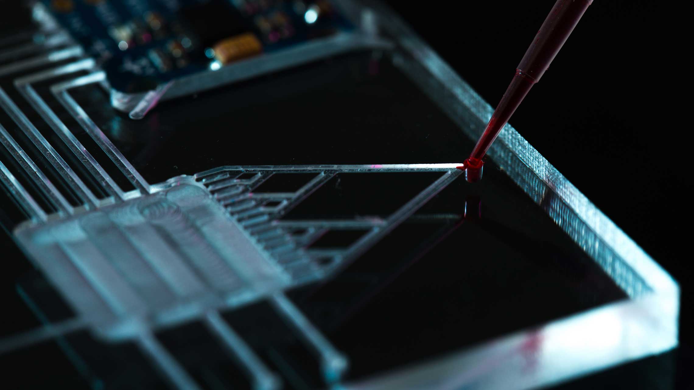 5th Workshop on Microfluidics Standards – Técnico Lisboa