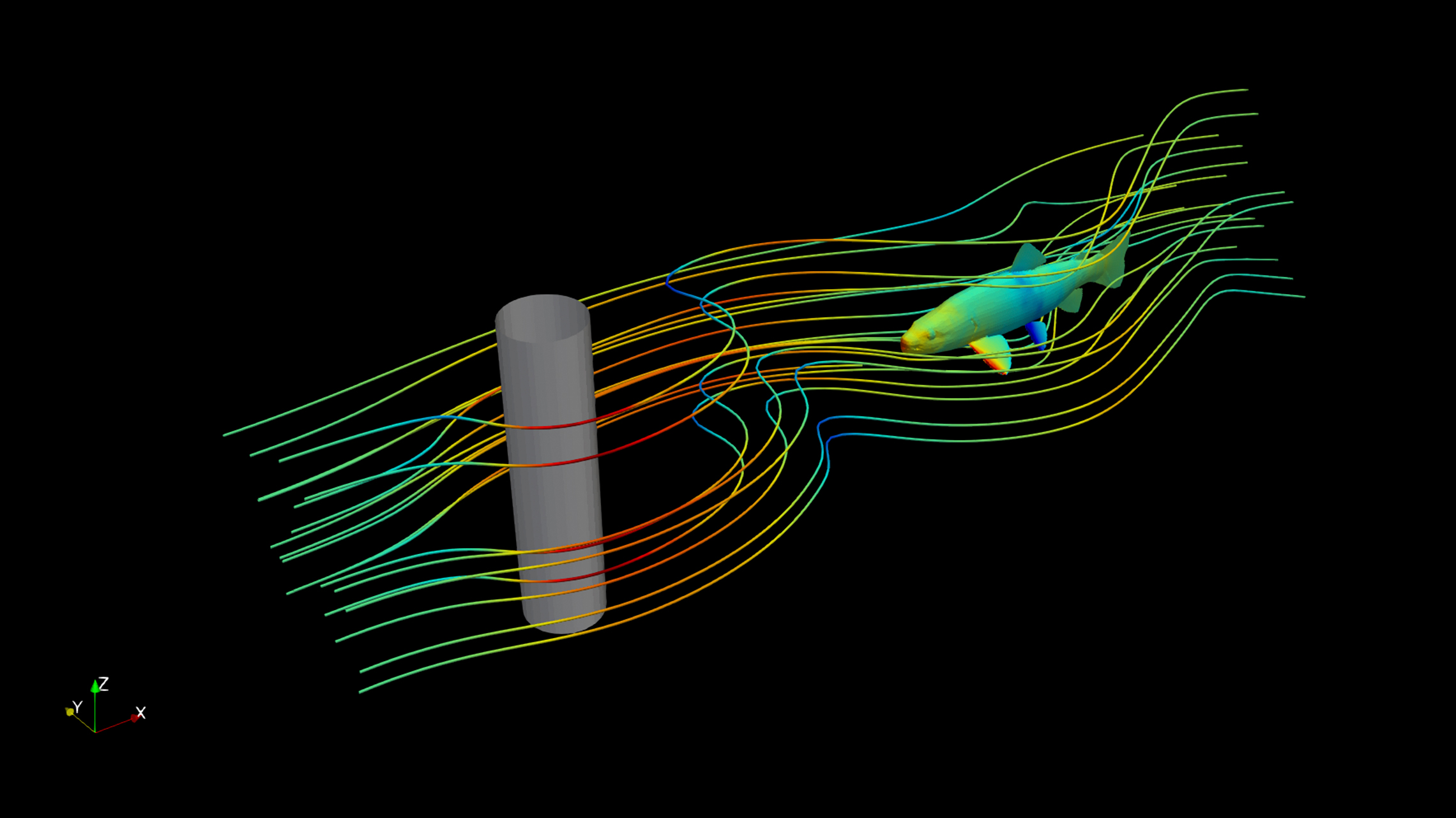 The highly specialised sensory system in freshwater fish – Técnico Lisboa